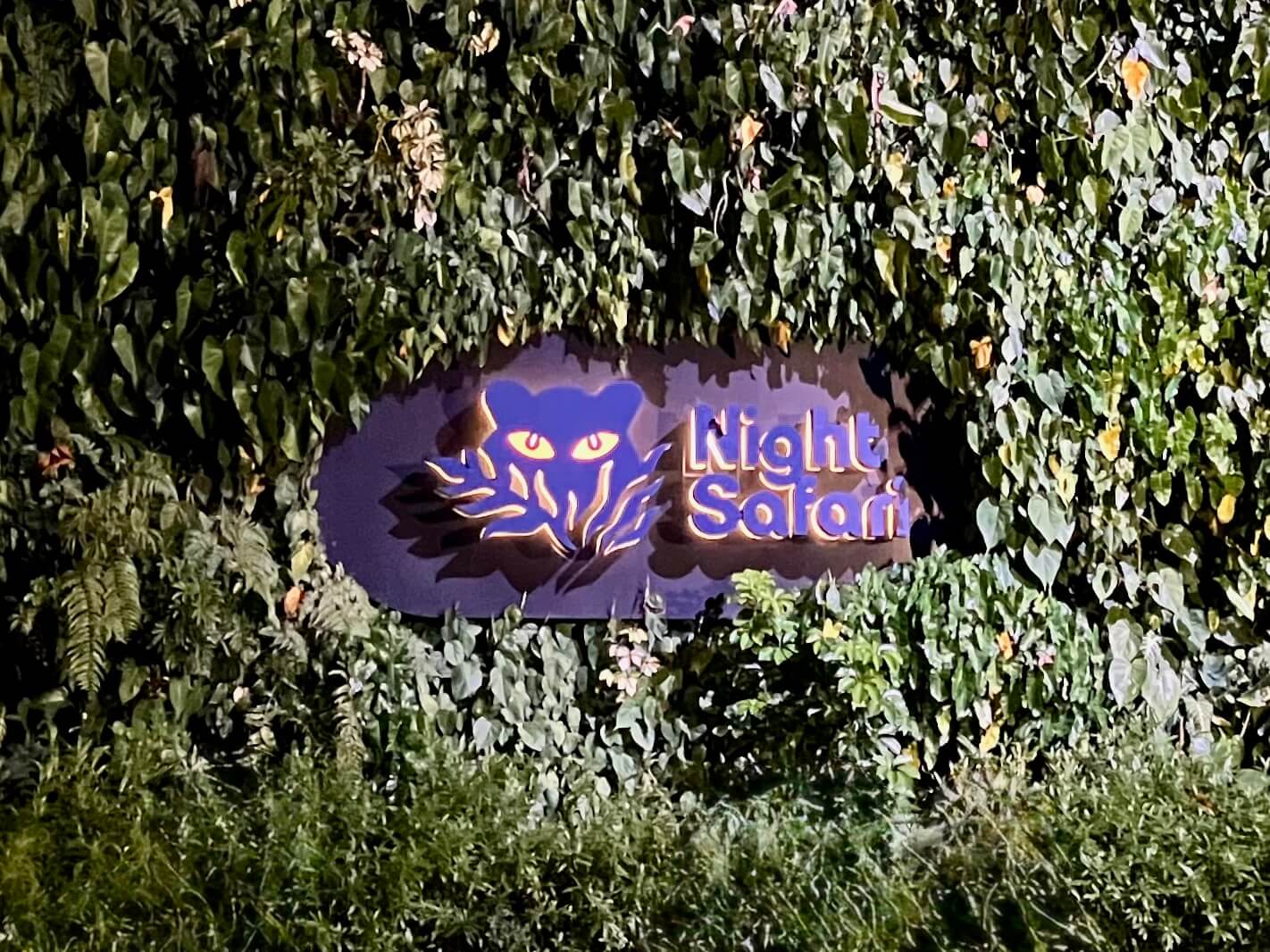 【シンガポール】ナイトサファリ｜料金・行き方・見どころを解説！